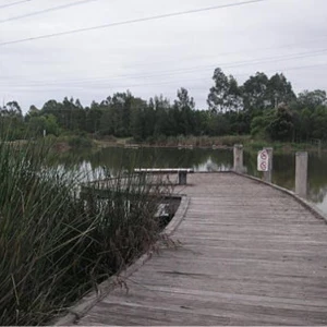 Signage Company in Glenmore Park - Platinum Signs