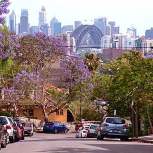 Signage Company in Neutral Bay | Platinum Signs