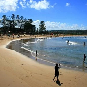 Signage Company in Dee Why - Platinum Signs