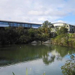 Signage Company in Belrose - Platinum Signs