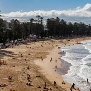 Signage Company in Manly’s | Platinum Signs