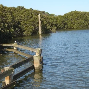 Signage Company in Melrose Park | Platinum Signs