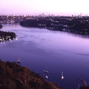 Signage Company in Seaforth | Platinum Signs