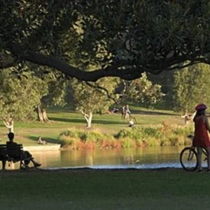 Signage Company in Centennial Park - Platinum Signs