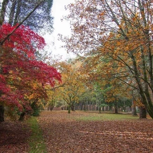 Signage Company in Cambridge Park | Platinum Signs