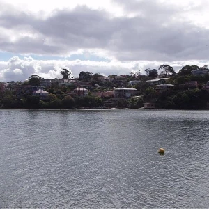 Signage Company in Linley Point | Platinum Signs