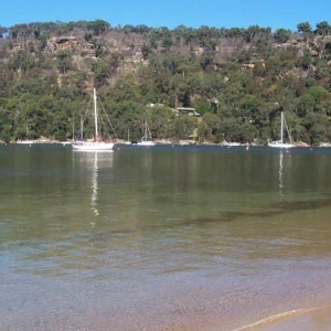 Signage Company in Coasters Retreat | Platinum Signs