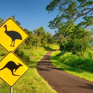 Road Signs in Sydney, Melbourne and Canberra Australia - Platinum Signs